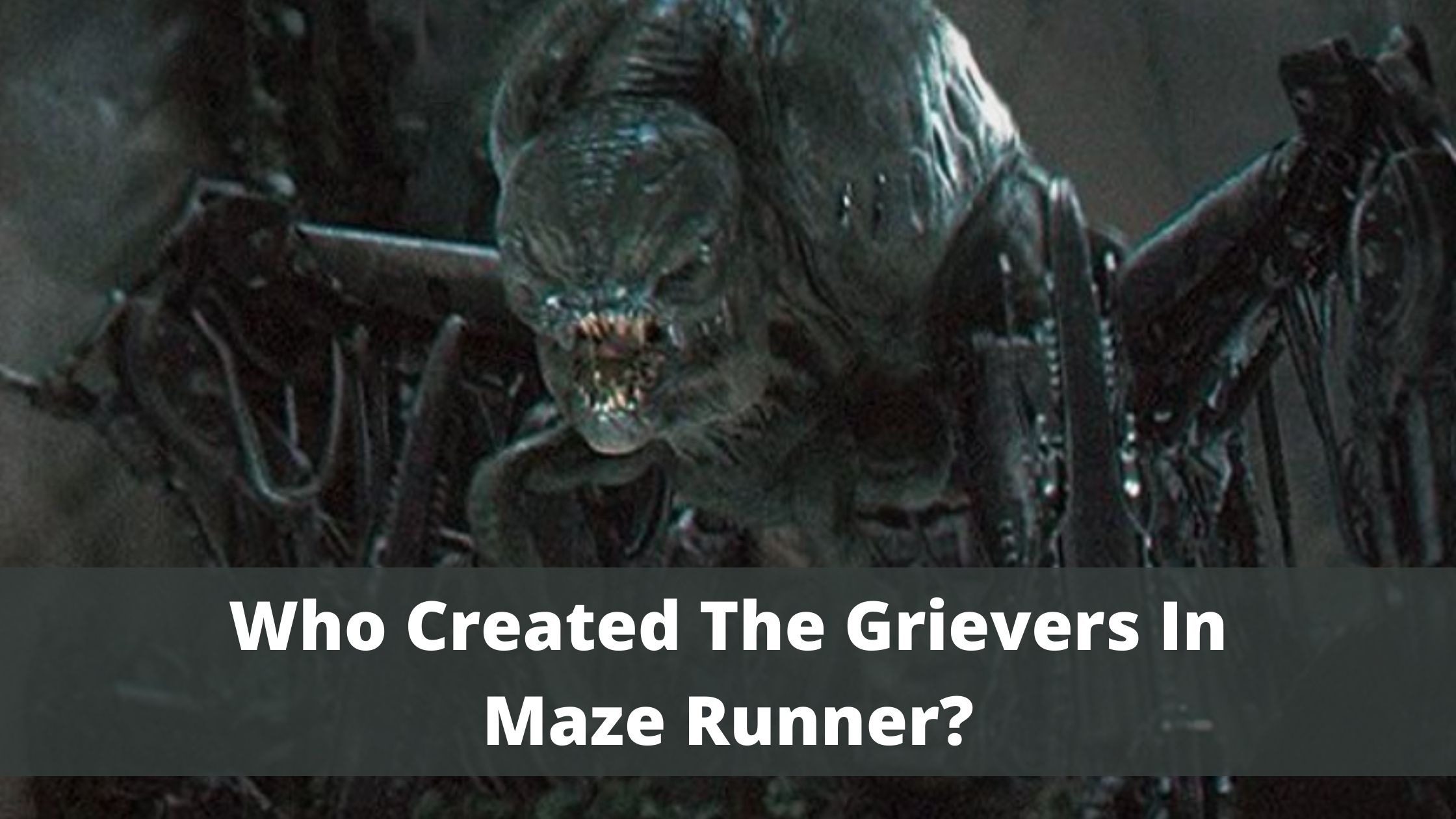 Grievers Maze Runner
