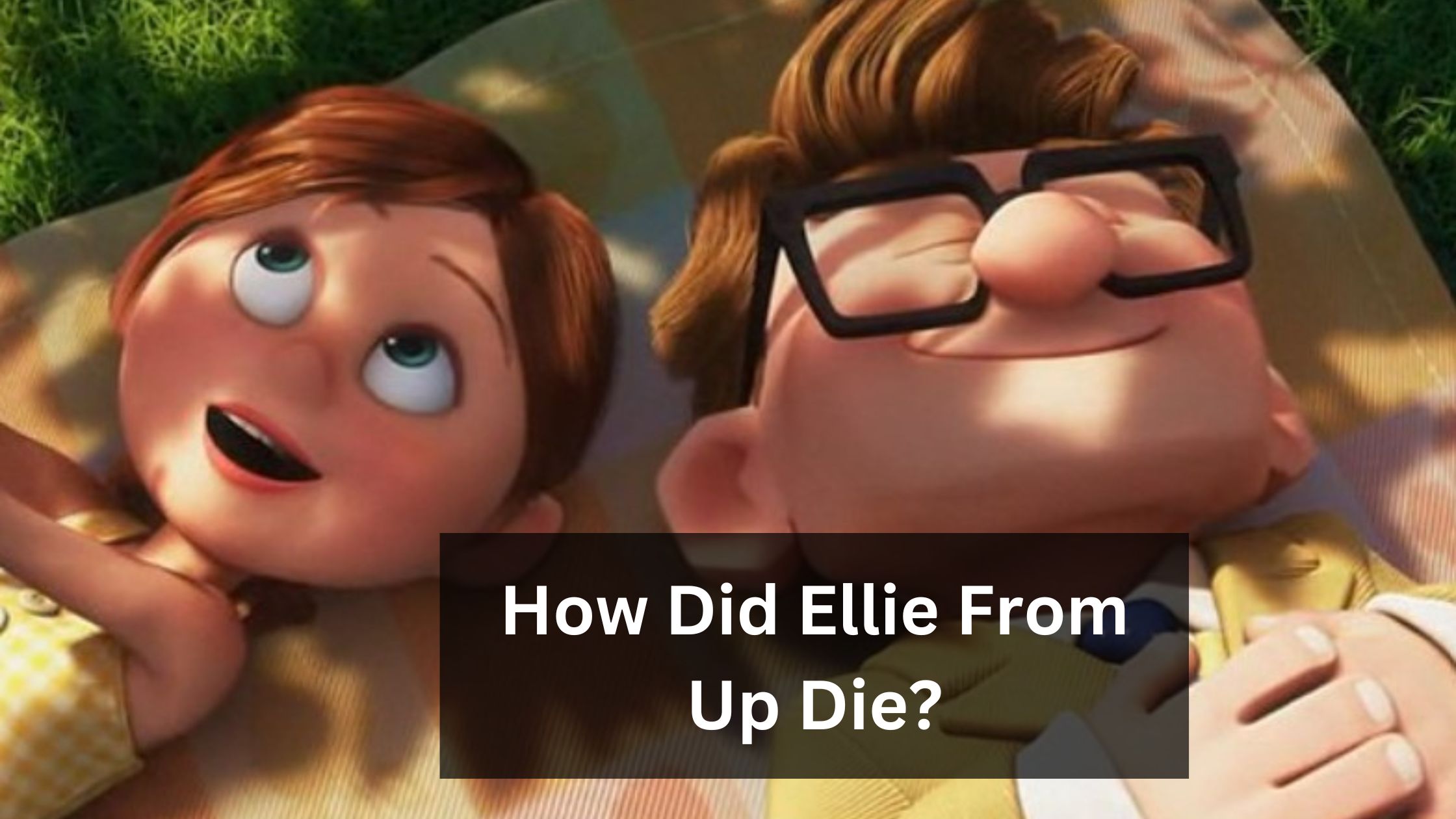How Did Ellie From Up Die? – Gent Stylez