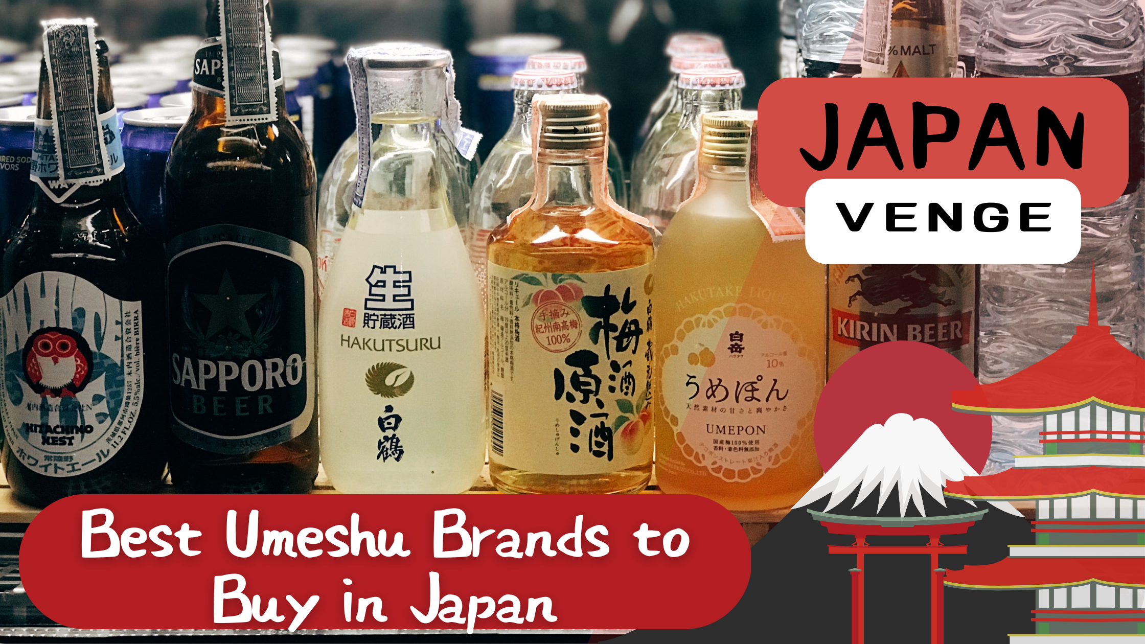 Best Umeshu Brands to Buy in Japan For 2025 – Gent Stylez