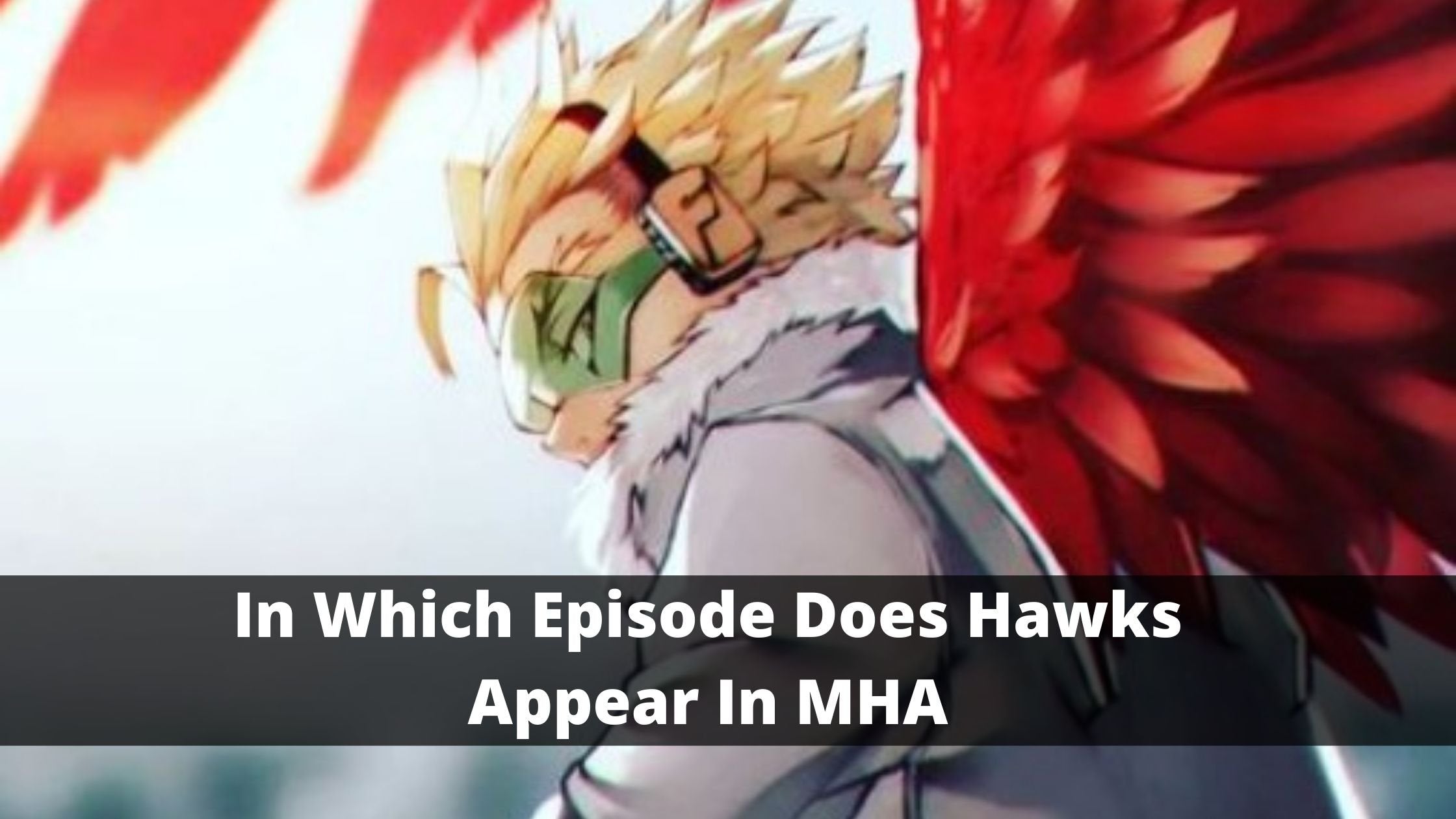 In Which Episode Does Hawks Appear In MHA? – Gent Stylez