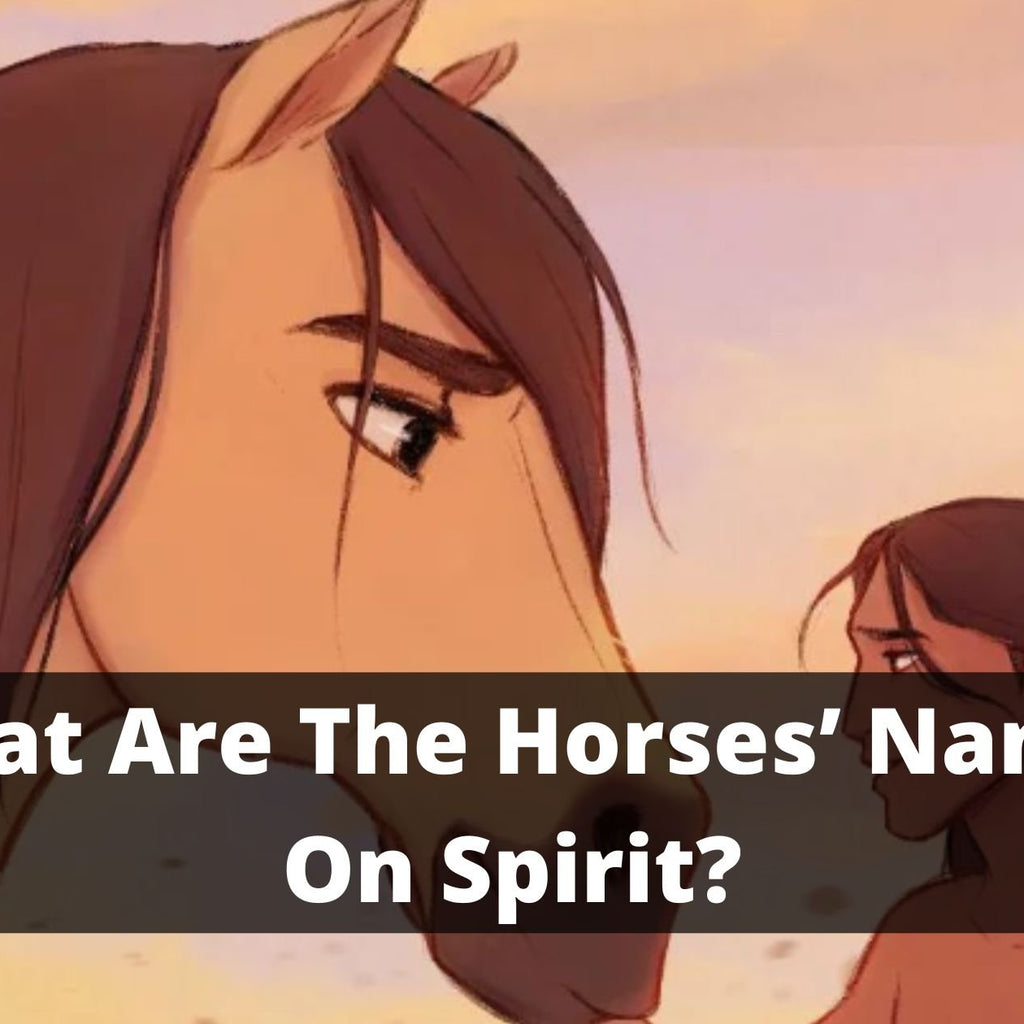 What Are The Horses’ Names On Spirit? – Gent Stylez