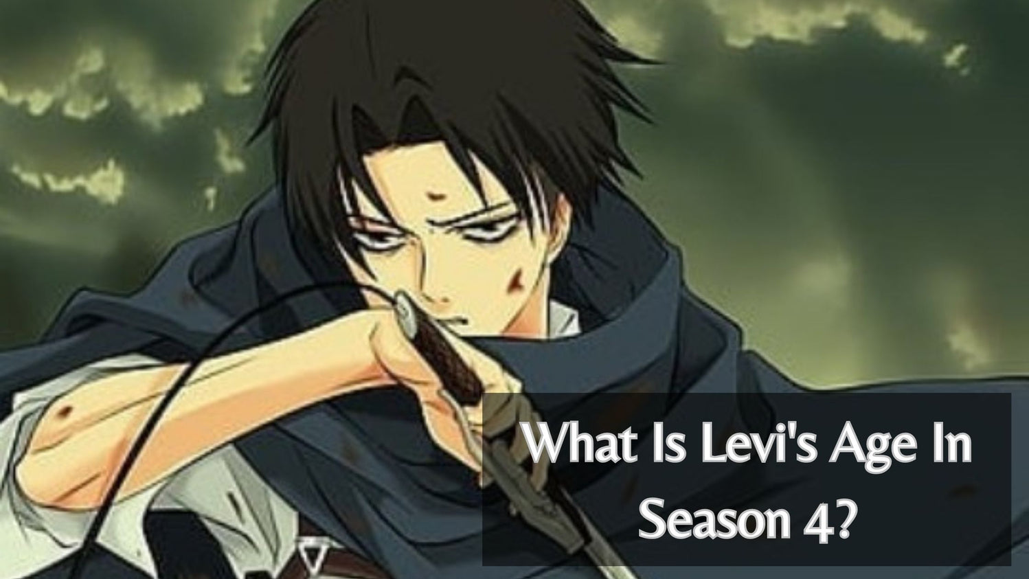 What Is Levi's Age In Season 4? Exploring Levi's Age – Gent Stylez