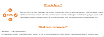What Does Temu Mean? Exploring the Definition and Origins of the Word ...